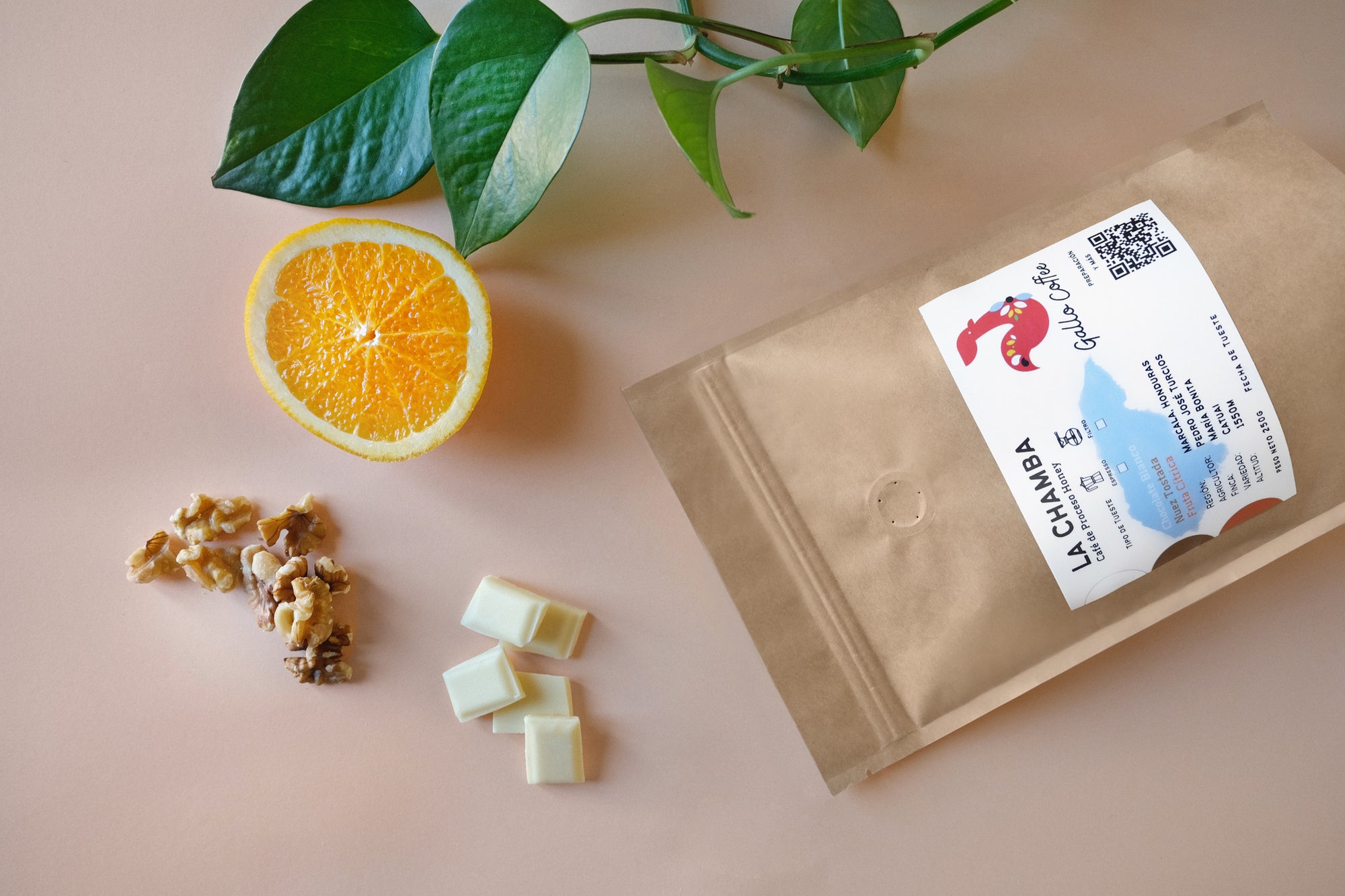 Gallo Coffee - Café de especialidad hondureño a domilicio